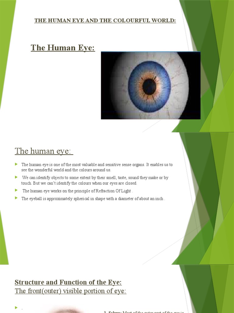 The Human Eye and The Colourful World | PDF | Eye | Myopia