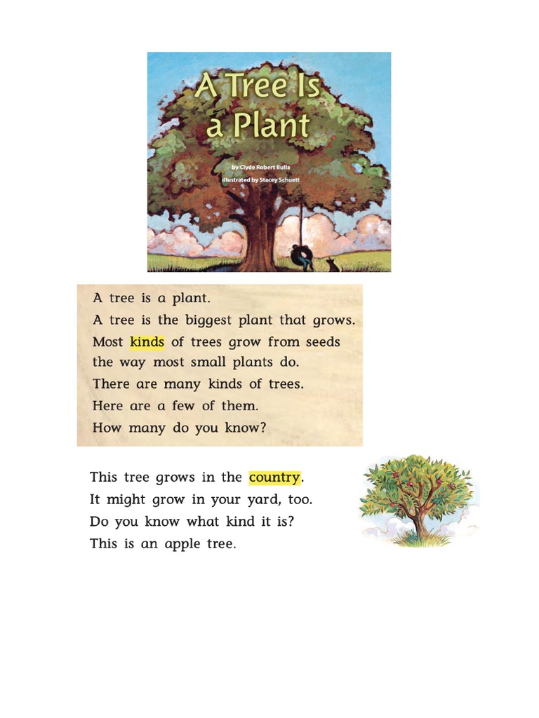 A Tree Is A Plant. | PDF