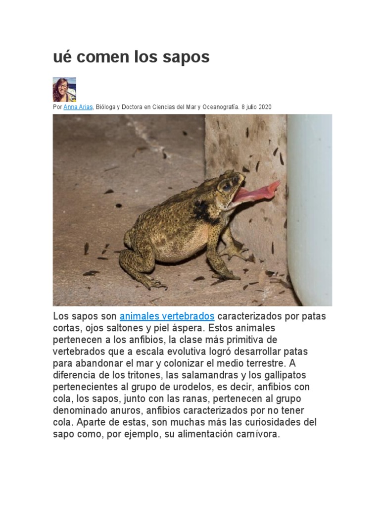 Alimentación de los Sapos: ¿Qué Comen? | PDF | Rana | Anfibio