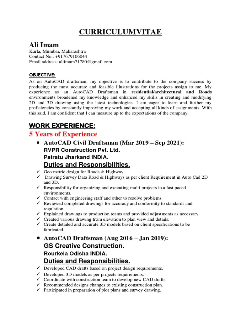 Civil Draftsman 3D Resume (Ali Imam) | PDF | Technical Drawing ...