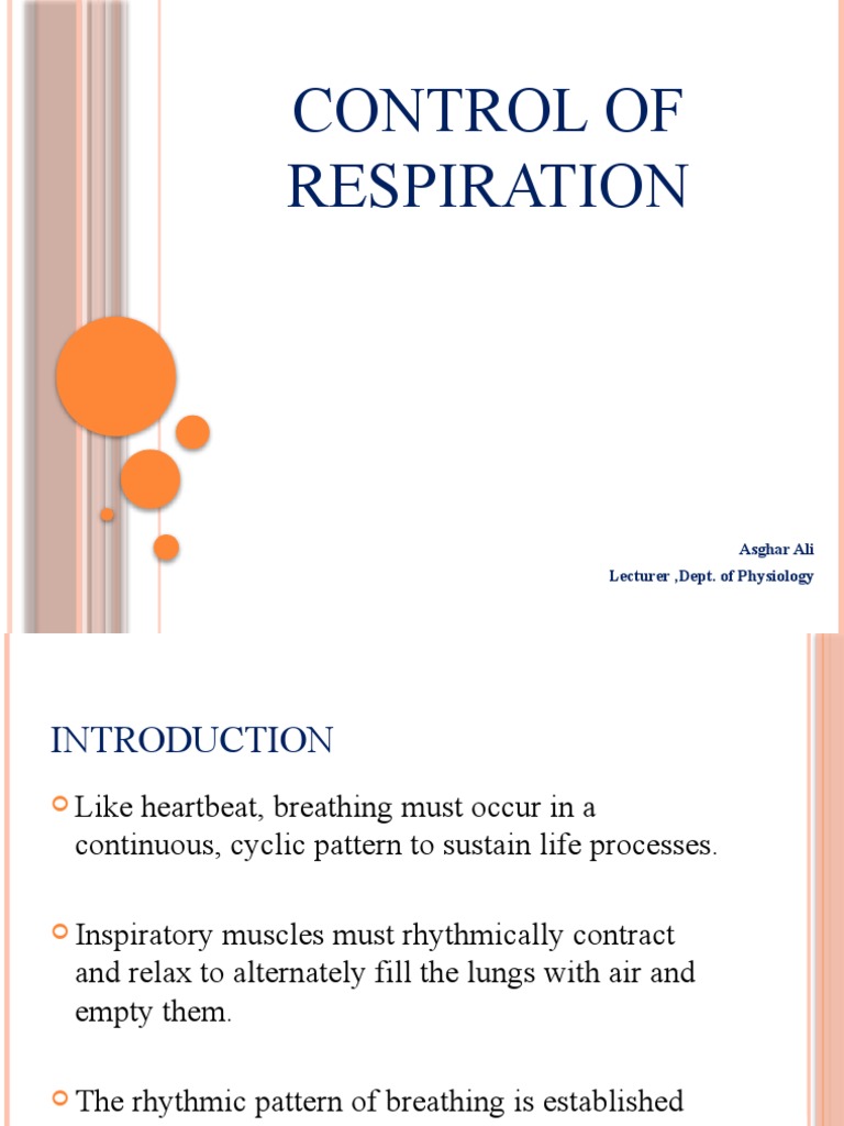 Control of Respiration | PDF | Breathing | Neuroscience