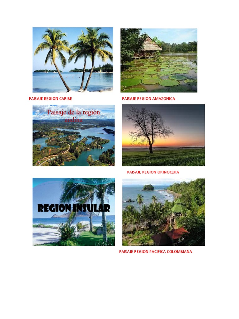 PAISAJES REGIONES COLOMBIANAS | PDF
