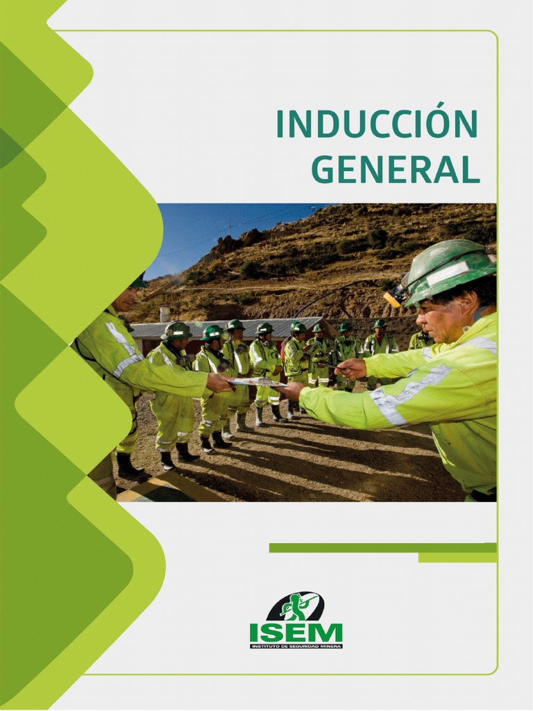 Manual Inducción Virtual BNV v1 2021 | PDF | Sistema de manejo de calidad | Sociedad