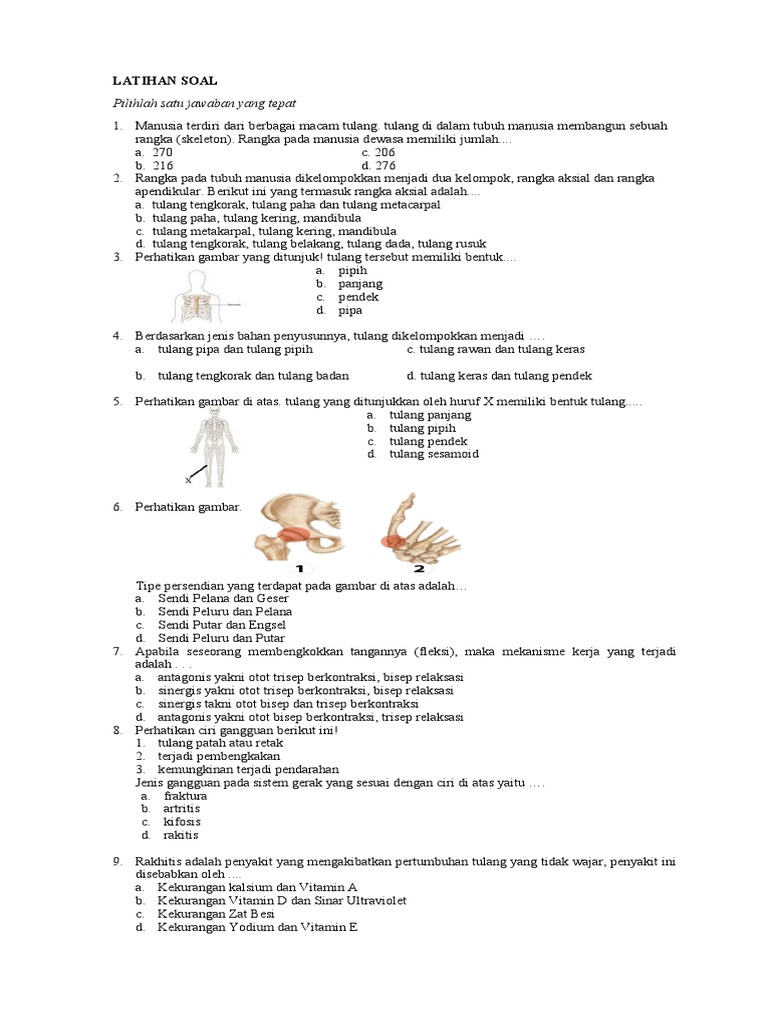 Latihan Soal Sistem Gerak Manusia | PDF | Olahraga & Rekreasi | Ilmu Sosial