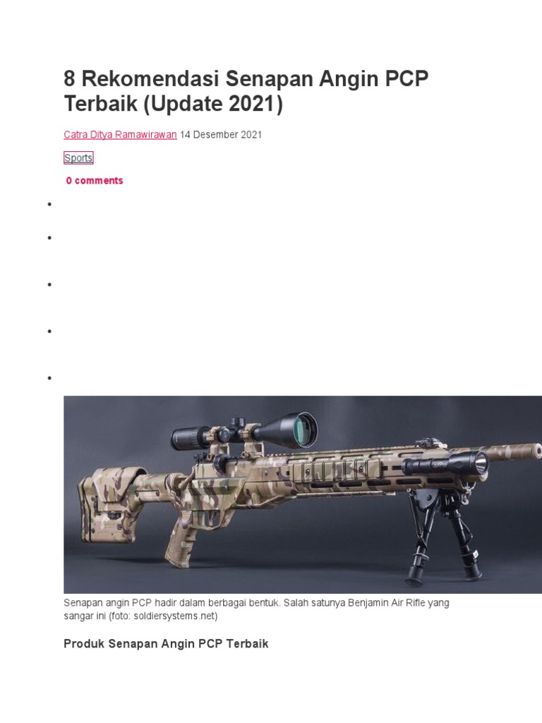 8 Rekomendasi Senapan Angin PCP Terbaik (Update 2021) : Catra Ditya ...