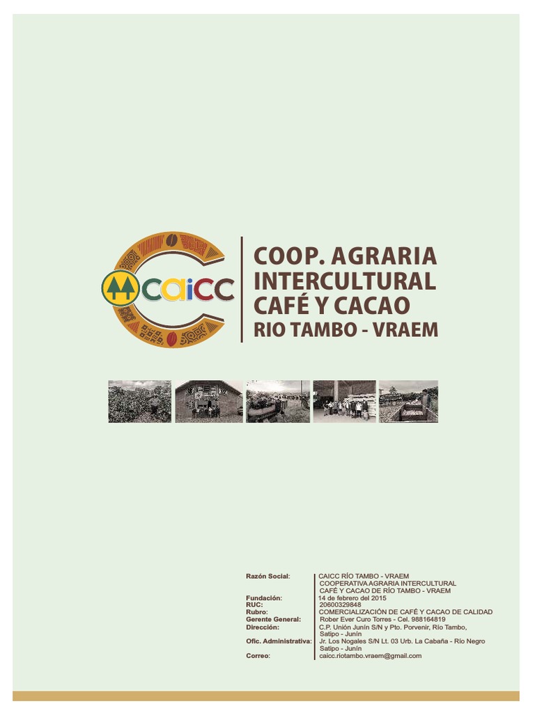 Presentacion Caicc | PDF