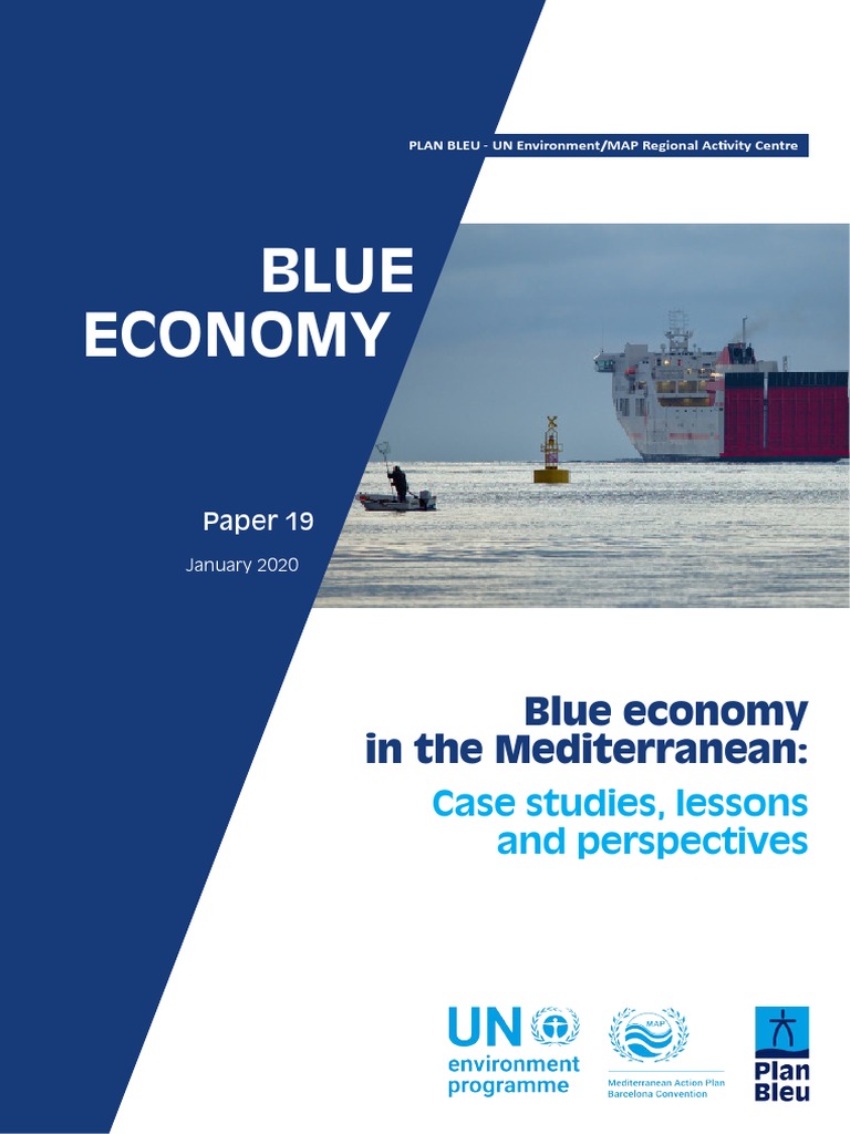 Cahier19 Blue Economy en | PDF | Sustainability | Oceans