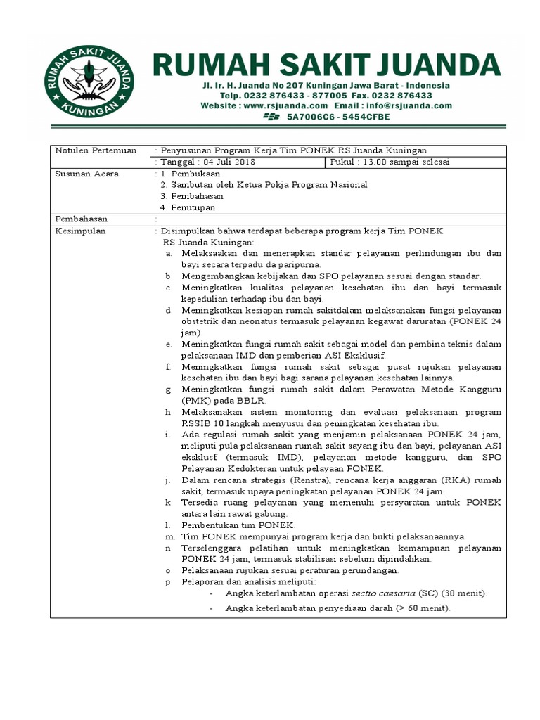 Notulen Pertemuan Penyusunan Program Kerja Tim PONEK | PDF