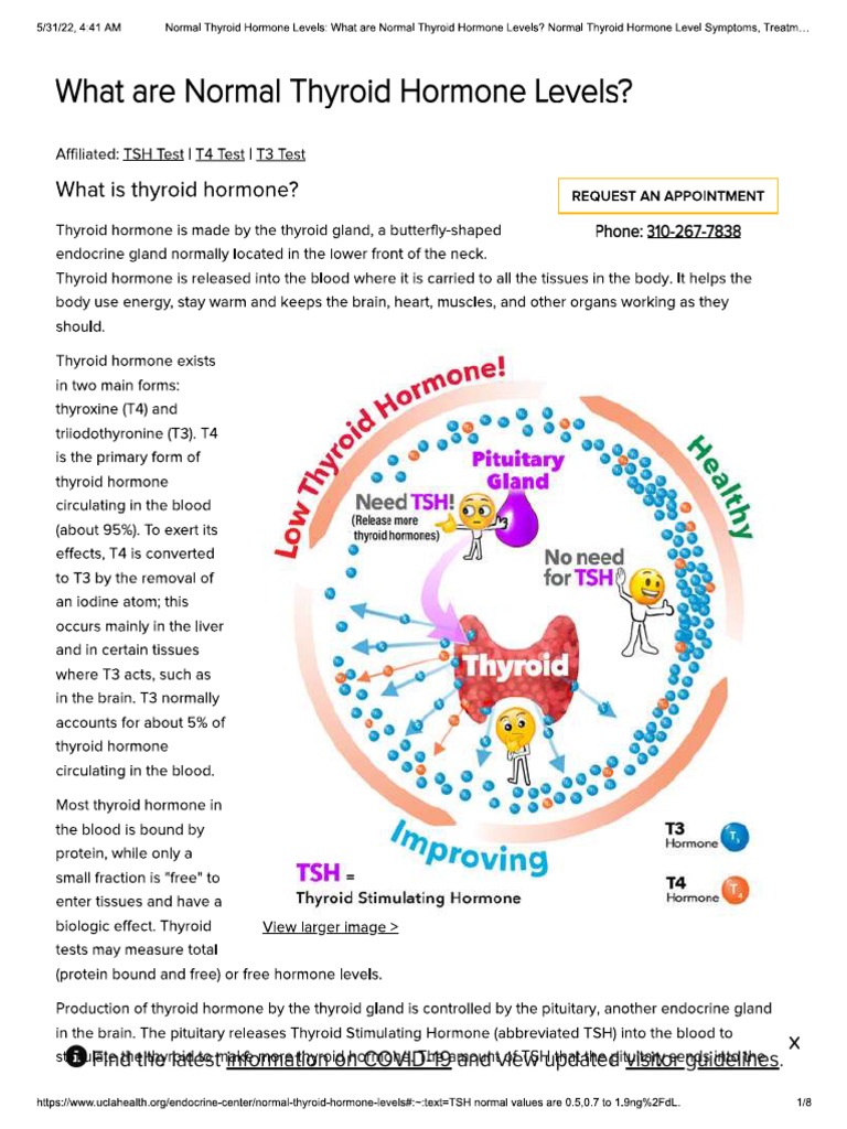 Normal Thyroid Levels | PDF