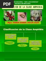 Allobates niputidea: Especie Única | PDF | Taxonomía (biología) | Género