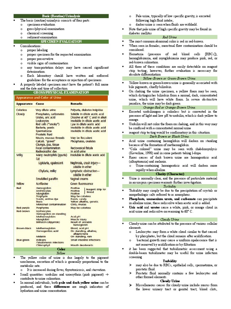Red Urine: Basic (Routine) Urinalysis | PDF | Urine | Kidney