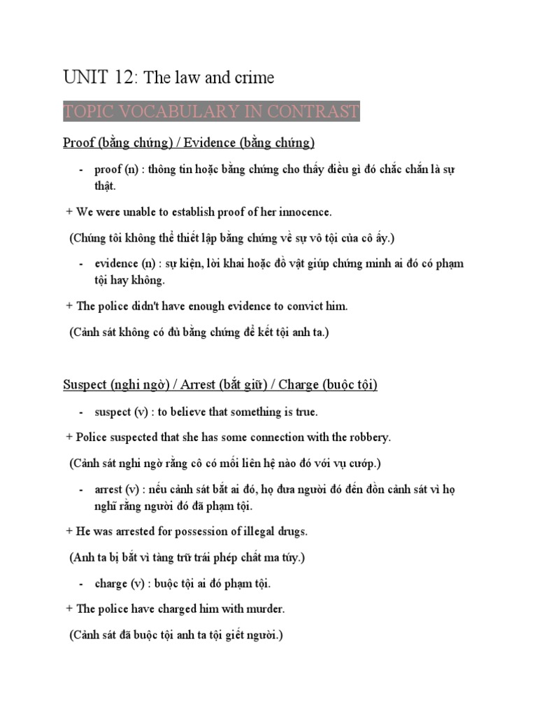 Vocabulary Unit 12 | PDF