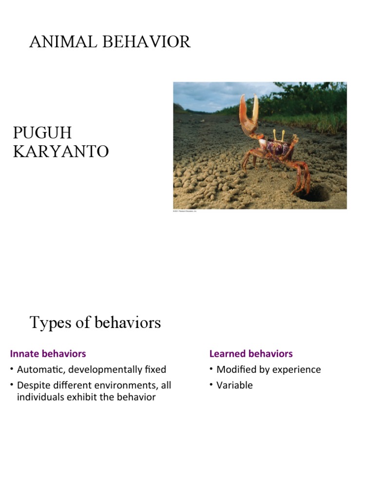 Understanding Animal Behavior Types | PDF | Learning | Ethology