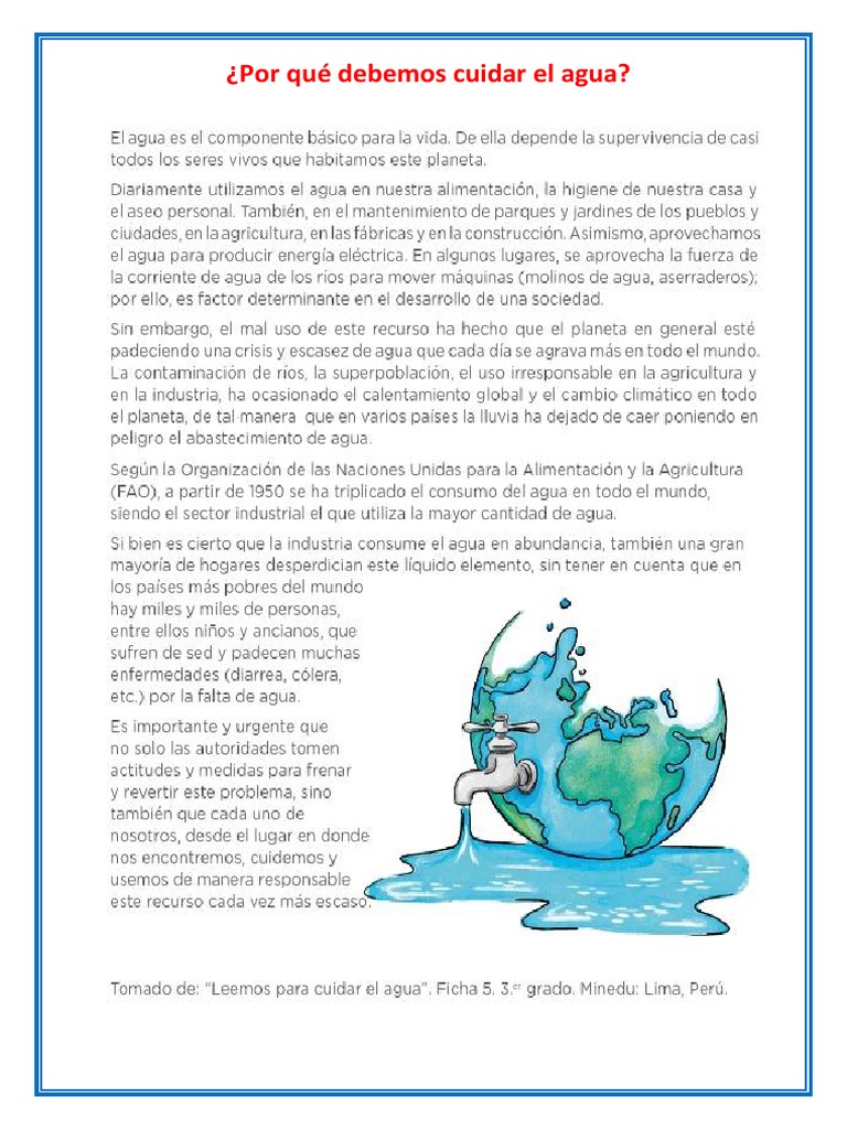 Por Qué Debemos Cuidar El Agua | PDF