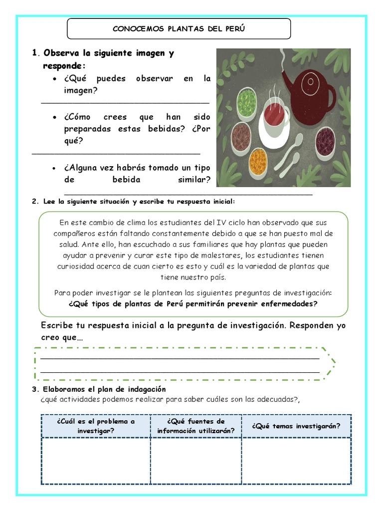 Conocemos Las Plantas Del Perú. | PDF