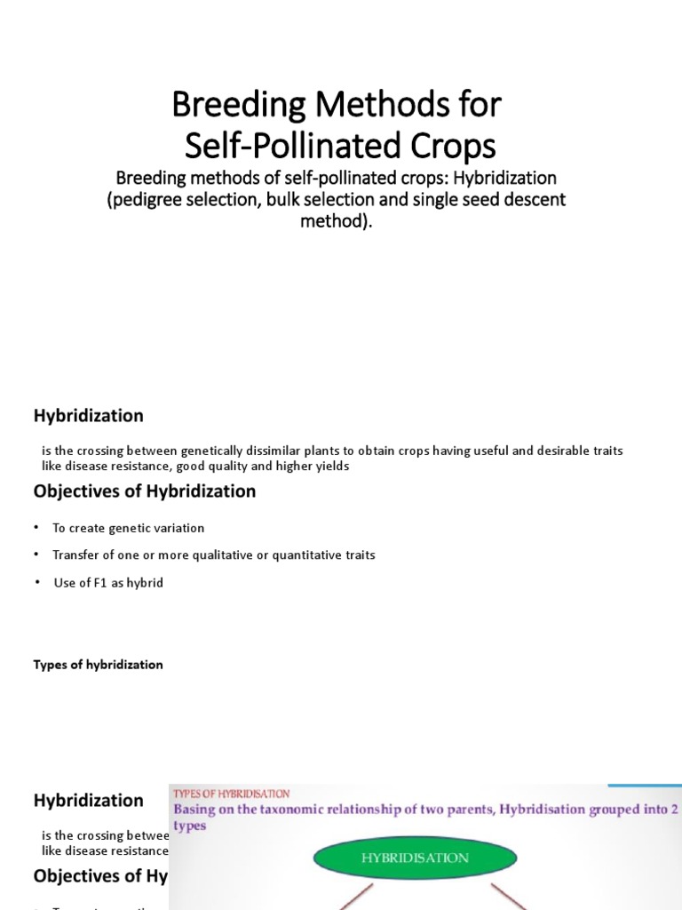 11-Breeding Methods of Self-Pollinated Crops Hybridization (Pedigree ...