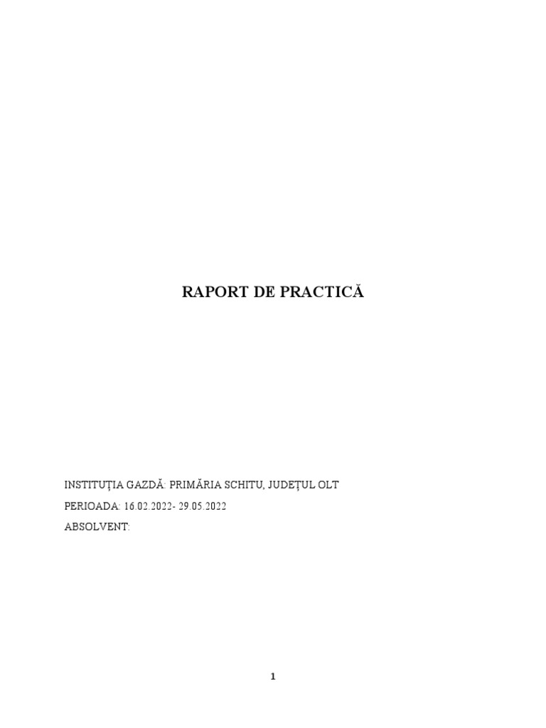Raport de Practica | PDF