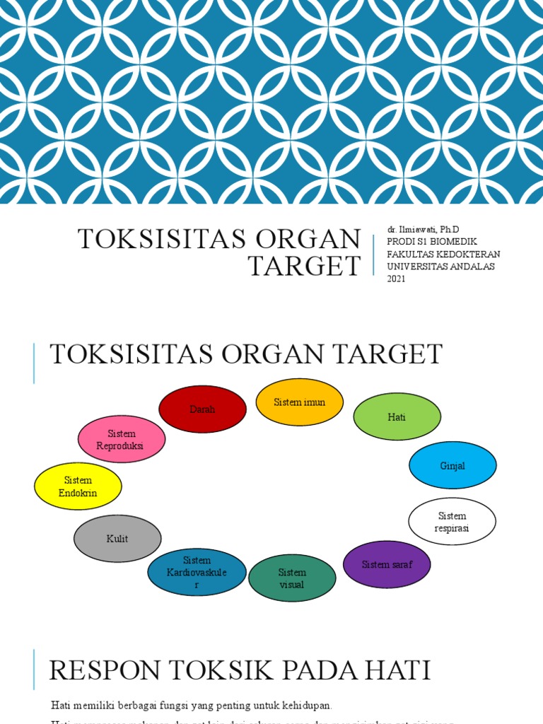 Toksisitas Organ Target | PDF