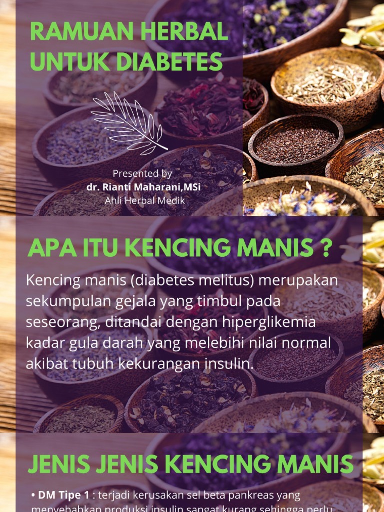 Jamu Diabetes Presented by DR - Rianti Herbal Medik | PDF