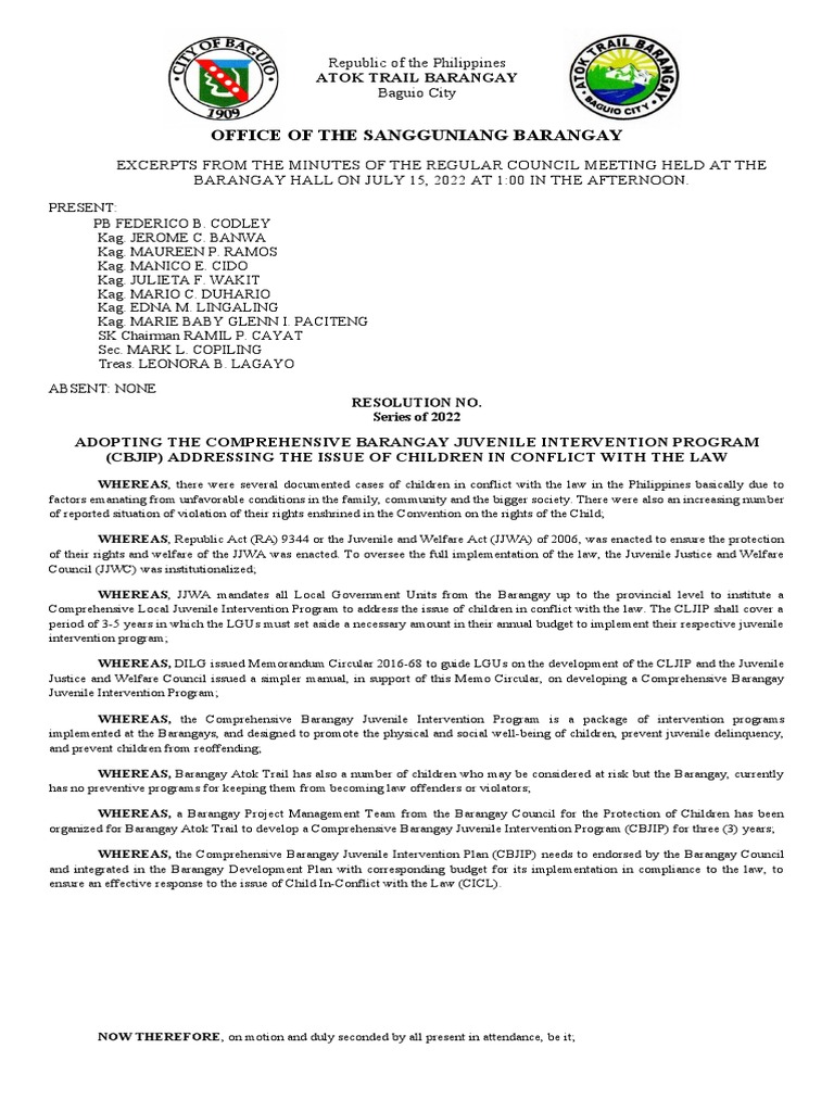 RESOLUTION CCBJIP | PDF | Juvenile Delinquency | Childhood