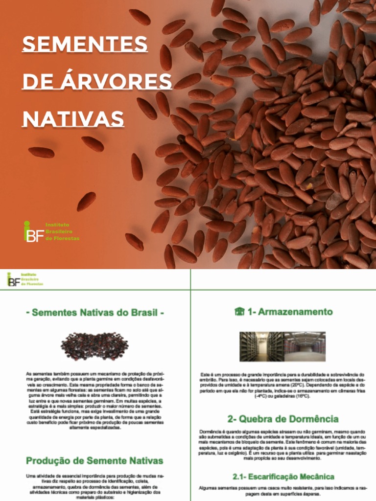 1551201860PDF - Sementes Nativas | PDF | Semente | Germinação