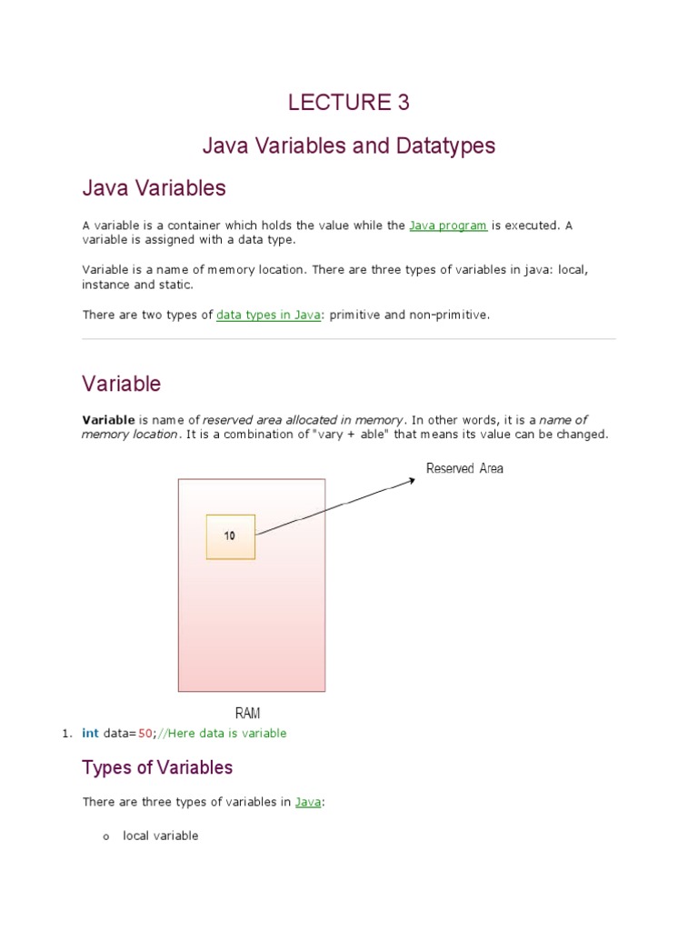 Local vs Instance vs Static Variables | PDF | Data Type | Variable ...
