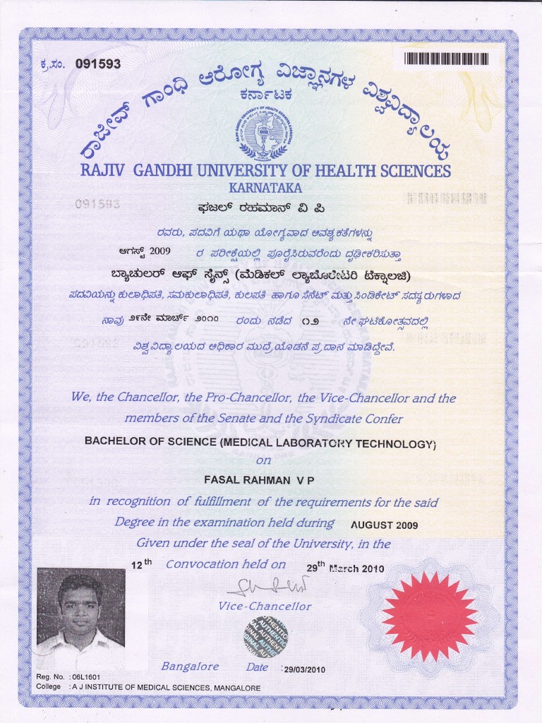 Academic Qualification | PDF