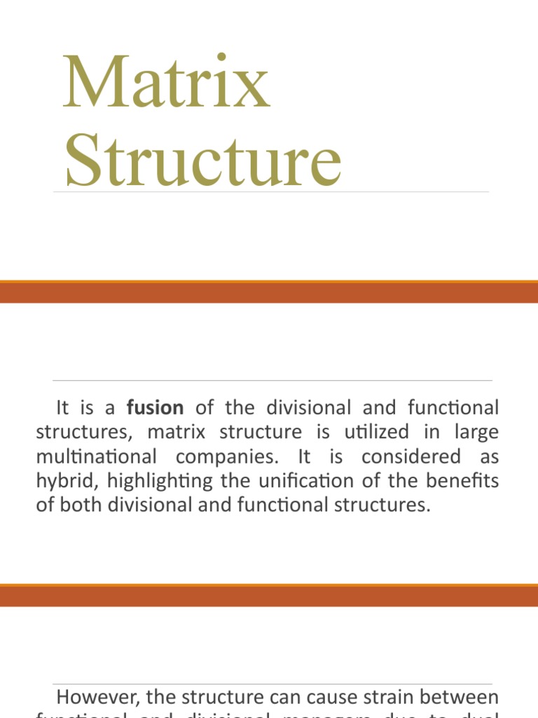 Matrix Structure | PDF