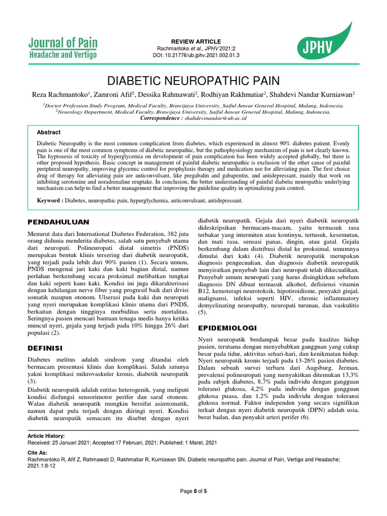 Diabetic Neuropathic Pain | Unduh gratis PDF | Neuropati Perifer | Obat
