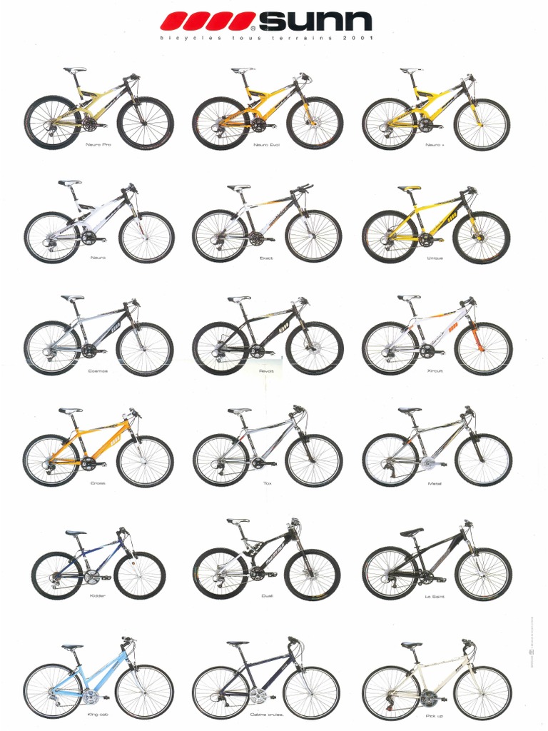 2001 Sunn Poster | PDF