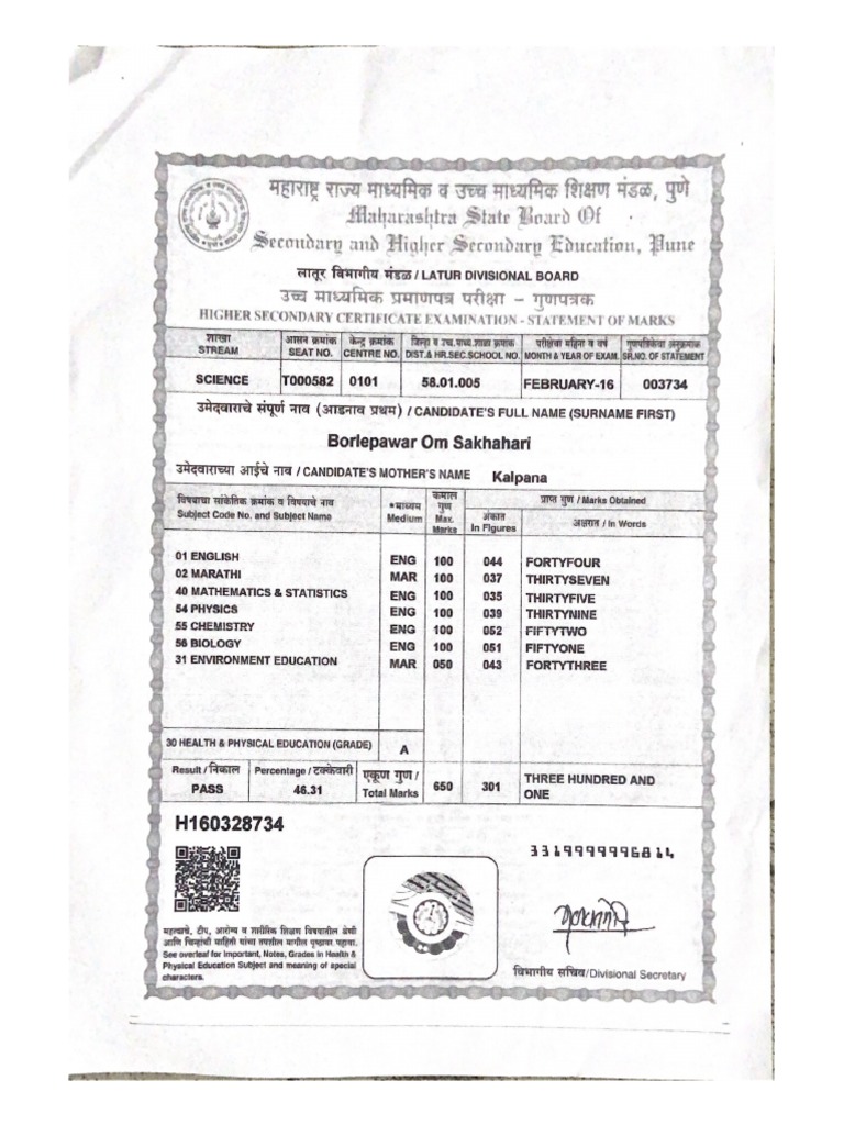 Higher Secondary Certificate Examination - Statement of Marks | PDF