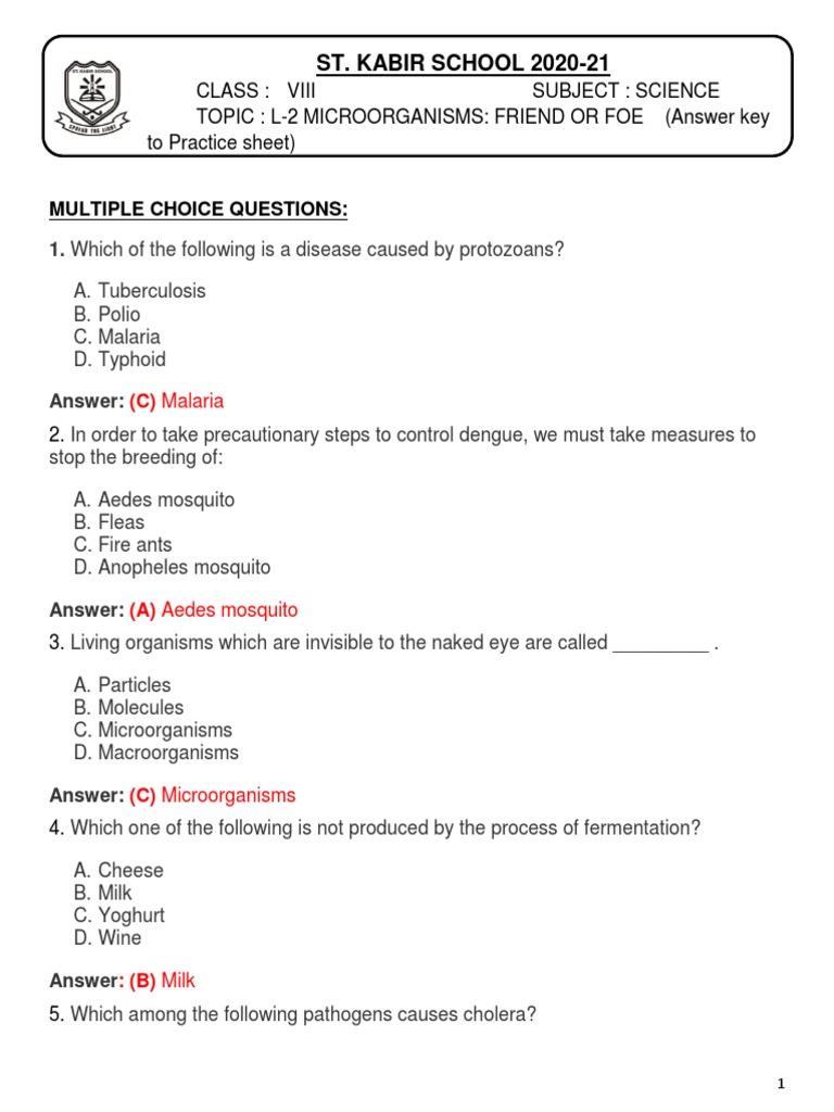 ST. KABIR SCHOOL 2020-21: Multiple Choice Questions | PDF ...