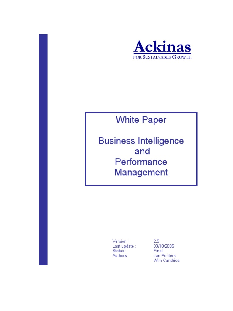 Business Intelligence & PM White Paper | PDF