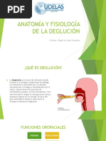 Triangulo de Farabeuf | PDF | Anatomía humana | Cabeza y cuello humanos