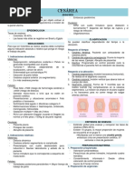 11 Tipos de Incisiones para Una Cesarea | PDF | Parto | El embarazo