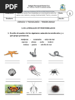 Foldables de Animales Invertebrados | PDF