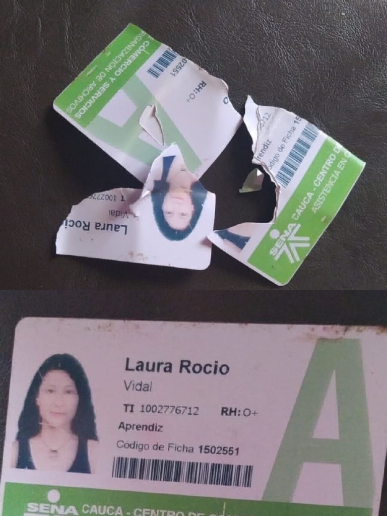 Carnet Destruido | PDF