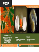 Mapa Conceptual Embrio | PDF | Biología del desarrollo | Tejido (biología)