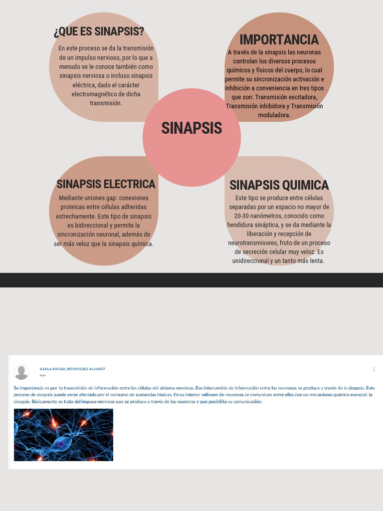 SINAPSIS | PDF
