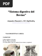 Digestión: Bolo, Quimo y Quilo | PDF | Digestión | Tracto gastrointestinal