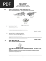 Grade 11 .. Life Sciences TOPIC TEST: Gaseous Exchange: Learners Name ...