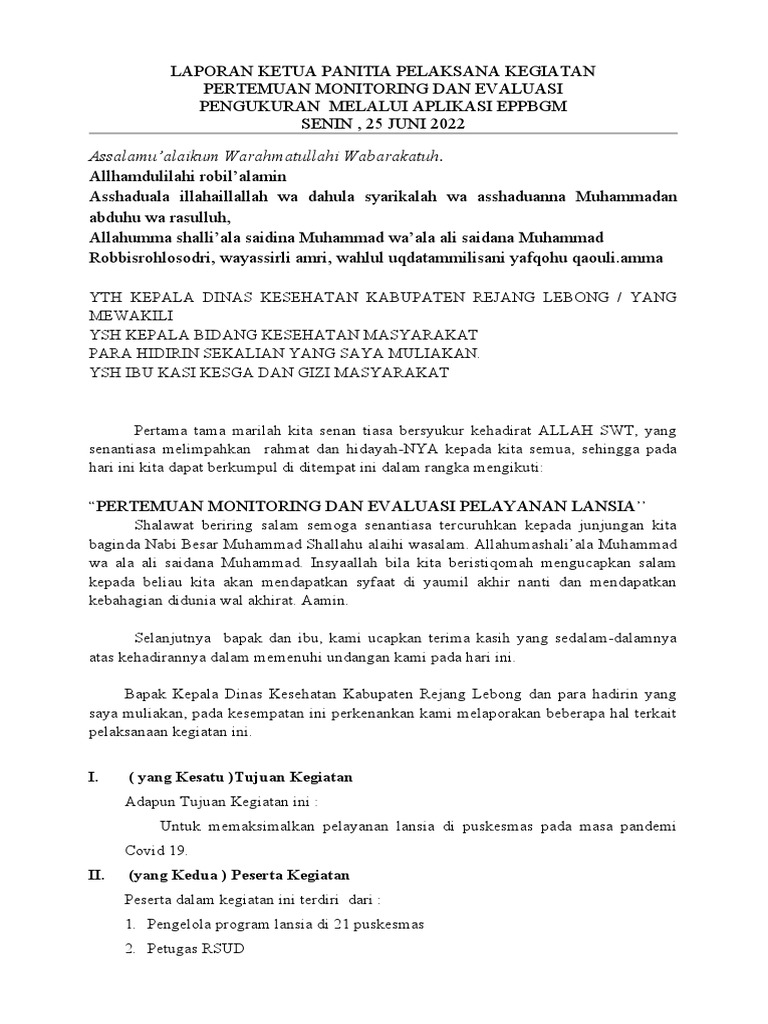 Laporan Ketua Panitia Pelaksana Kegiatan 2 | PDF