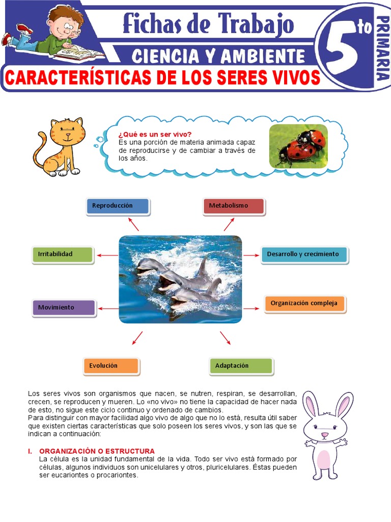 5°primaria-Caracteristicas de Los Seres Vivos | PDF | Organismos | Vida