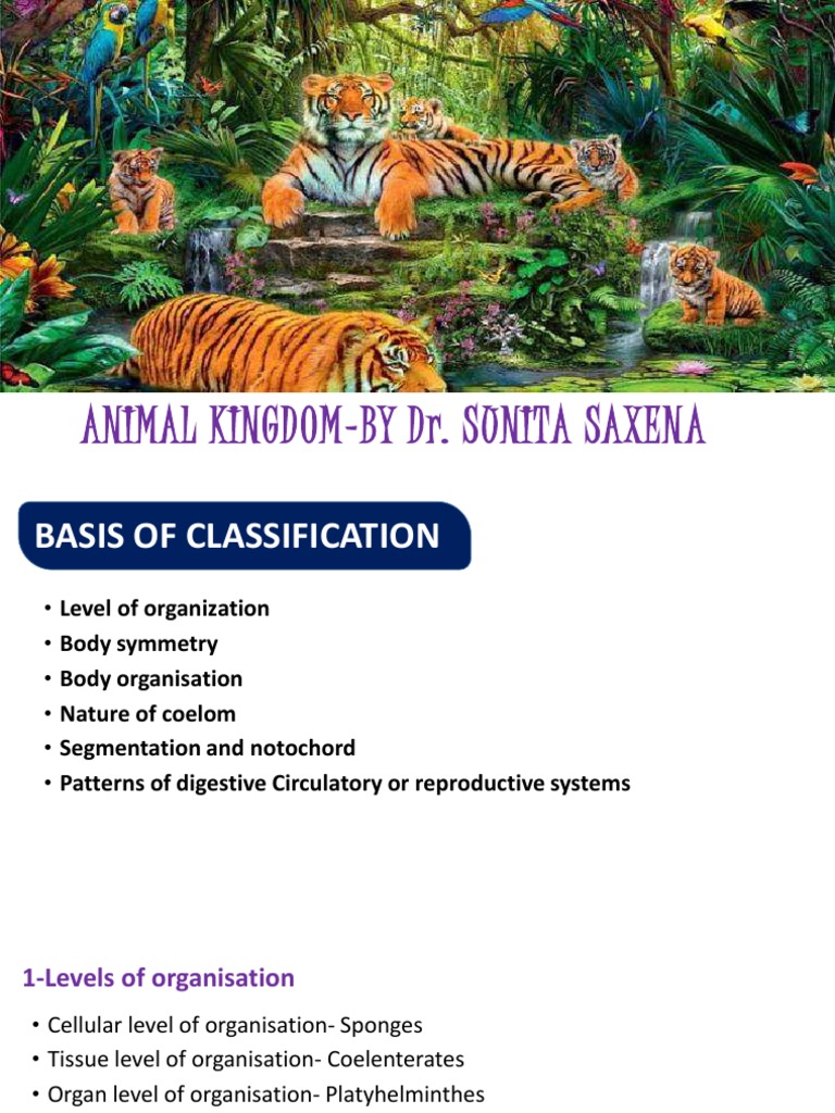 Animal Kingdom-By Dr. Sunita Saxena | PDF | Fish | Sponge