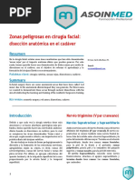 Region Superciliar ANATOMIA 2 FOLP | PDF | Anatomía humana | Cabeza y ...