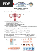 Covo Rugare Gold PLUS | PDF | Fertilizer | Seed