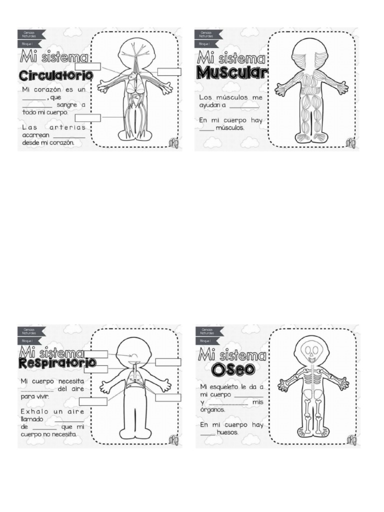 Sistemas Del Cuerpo | PDF