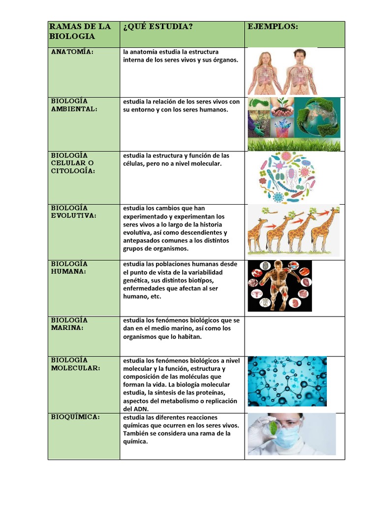 Ramas de La Biologia | PDF | Biología | Organismos