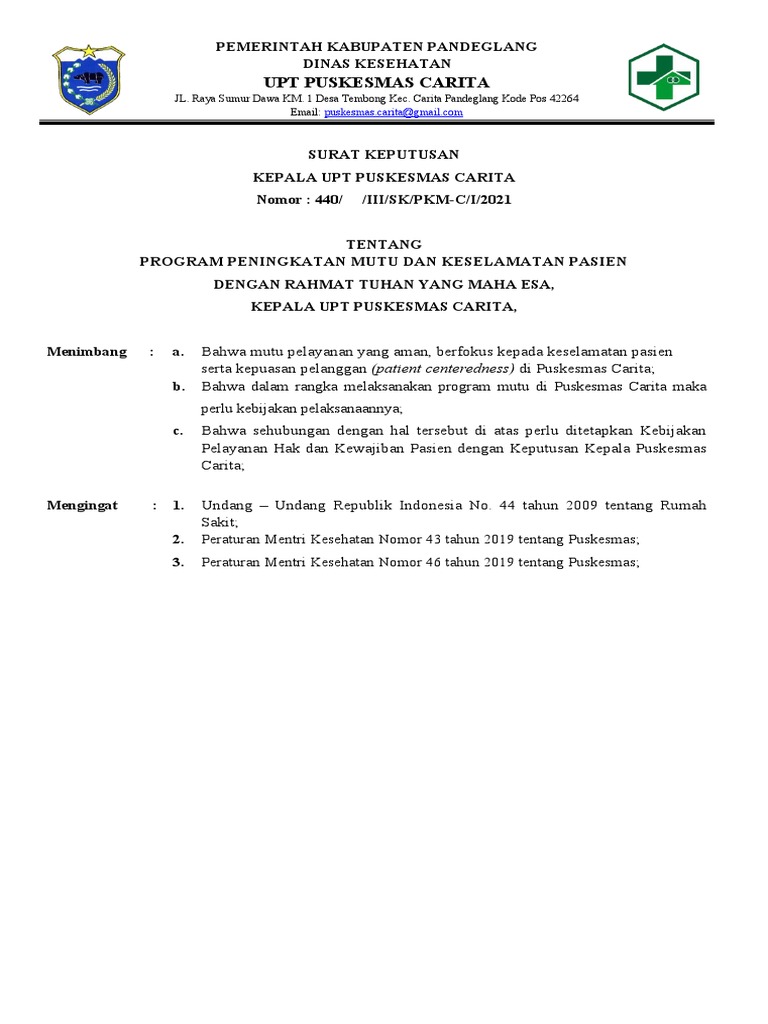 SK Program Peningkatan Mutu Dan Keselamatan Pasien | PDF