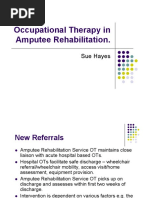 PPAM Aid: A Guide for Amputees | PDF | Amputation | Prosthesis